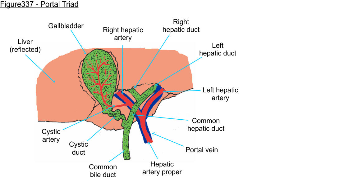 Figure337_PortalTriad